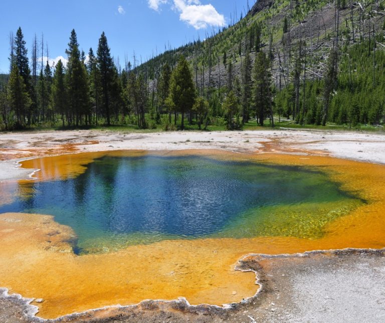 YELLOWSTONE NATIONAL PARK IS OFFERING AN ANNUAL PASS, THAT WON’T WORK ...