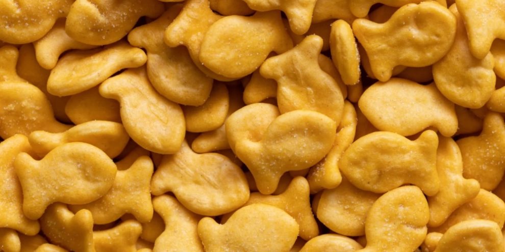 Goldfish Gets a Grown-Up Makeover with a New Name for Gen Z Snackers ...